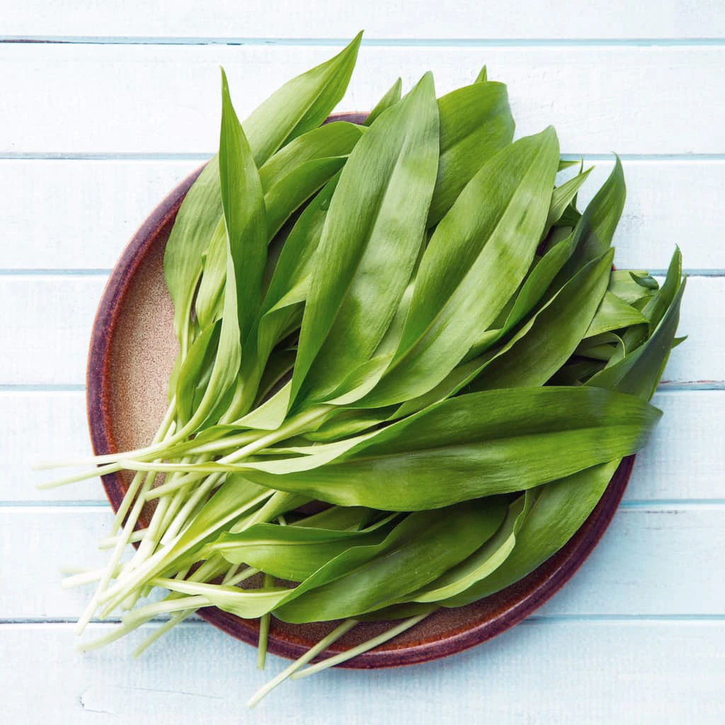 Wild Garlic Leaves